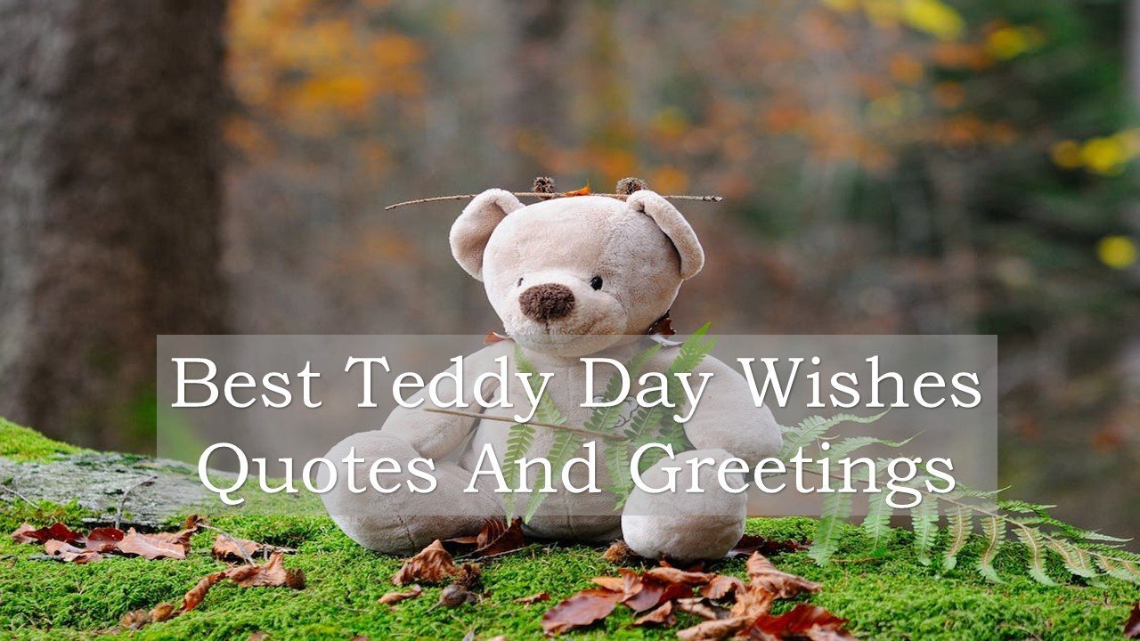 Happy Best Teddy Day Wishes 2024 Quotes And Greetings - New SMS free